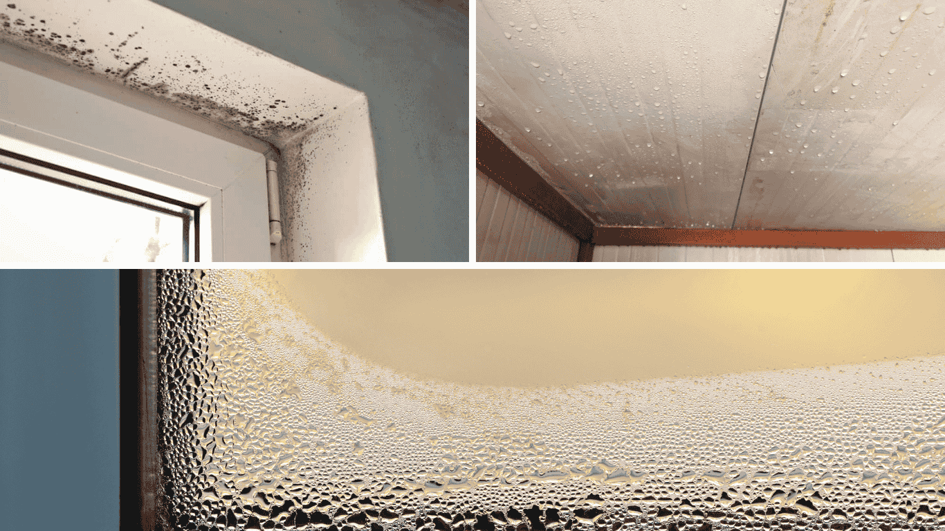 Condens Pe Tavan, Geamuri și în Cameră? Află Soluțiile! 🏠
